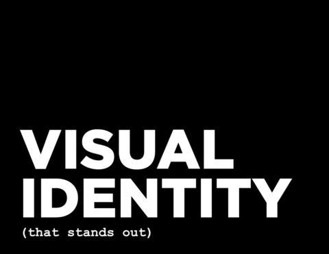 How to Build a Visual Identity That Stands Out | California Dingo Media ...